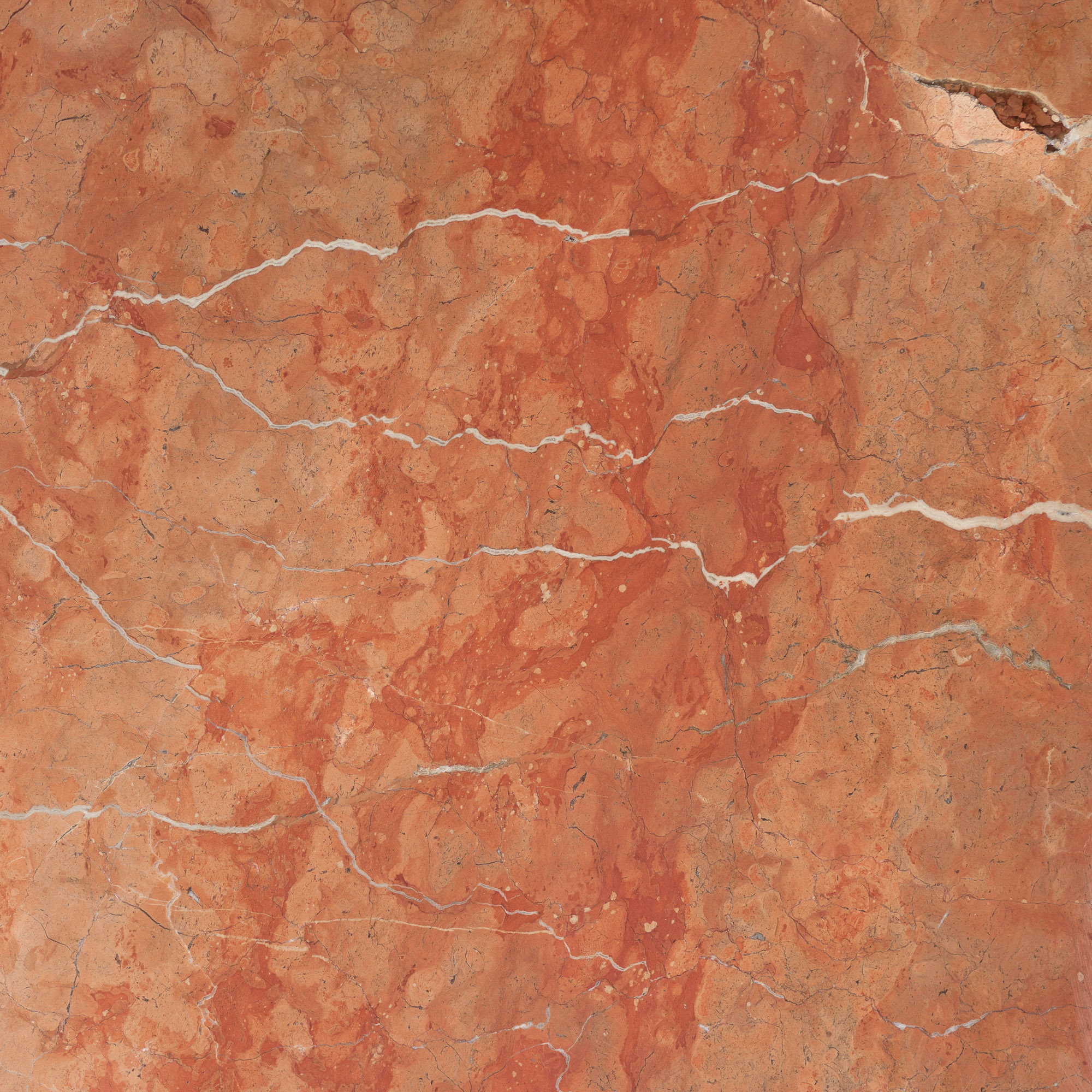 Rojo Alicante Marmor - The Tile Studio