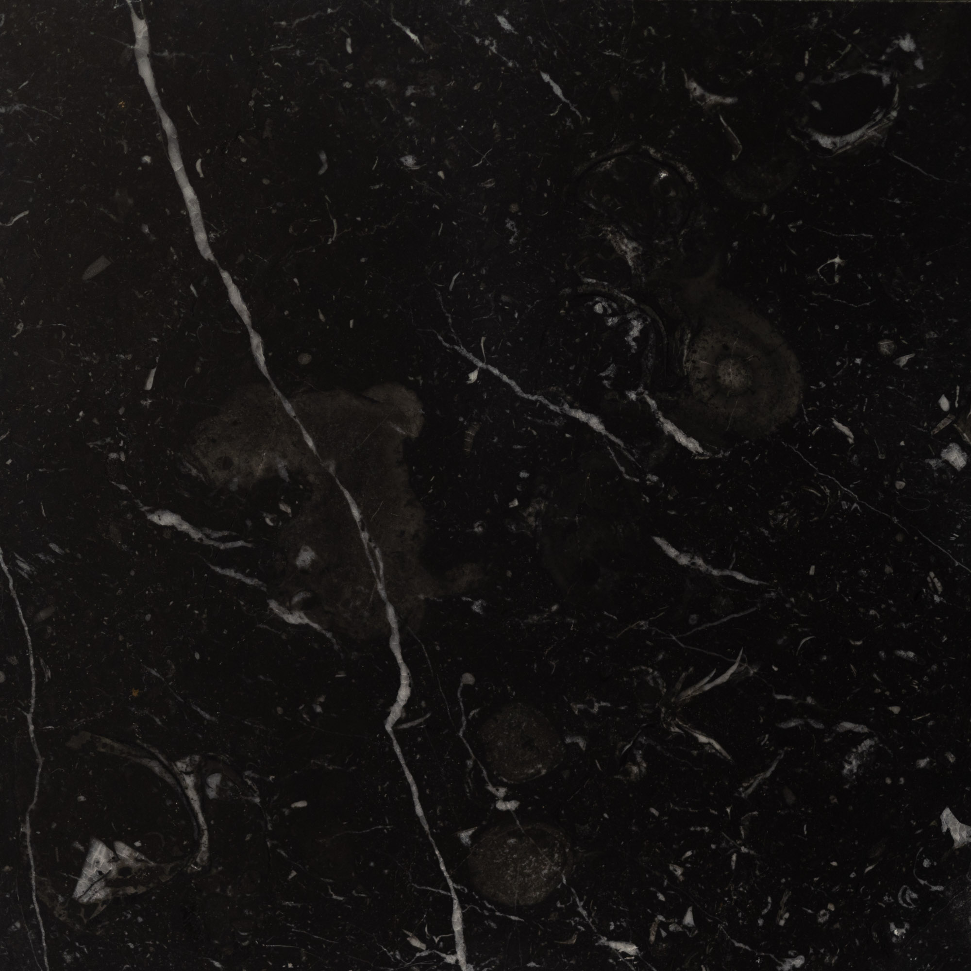 Nero Marquina Marmor - The Tile Studio